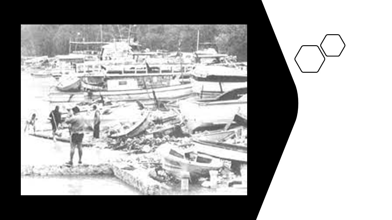 calvin-damage-1 – Revealing What Has Been Hidden in Front of Our Eyes