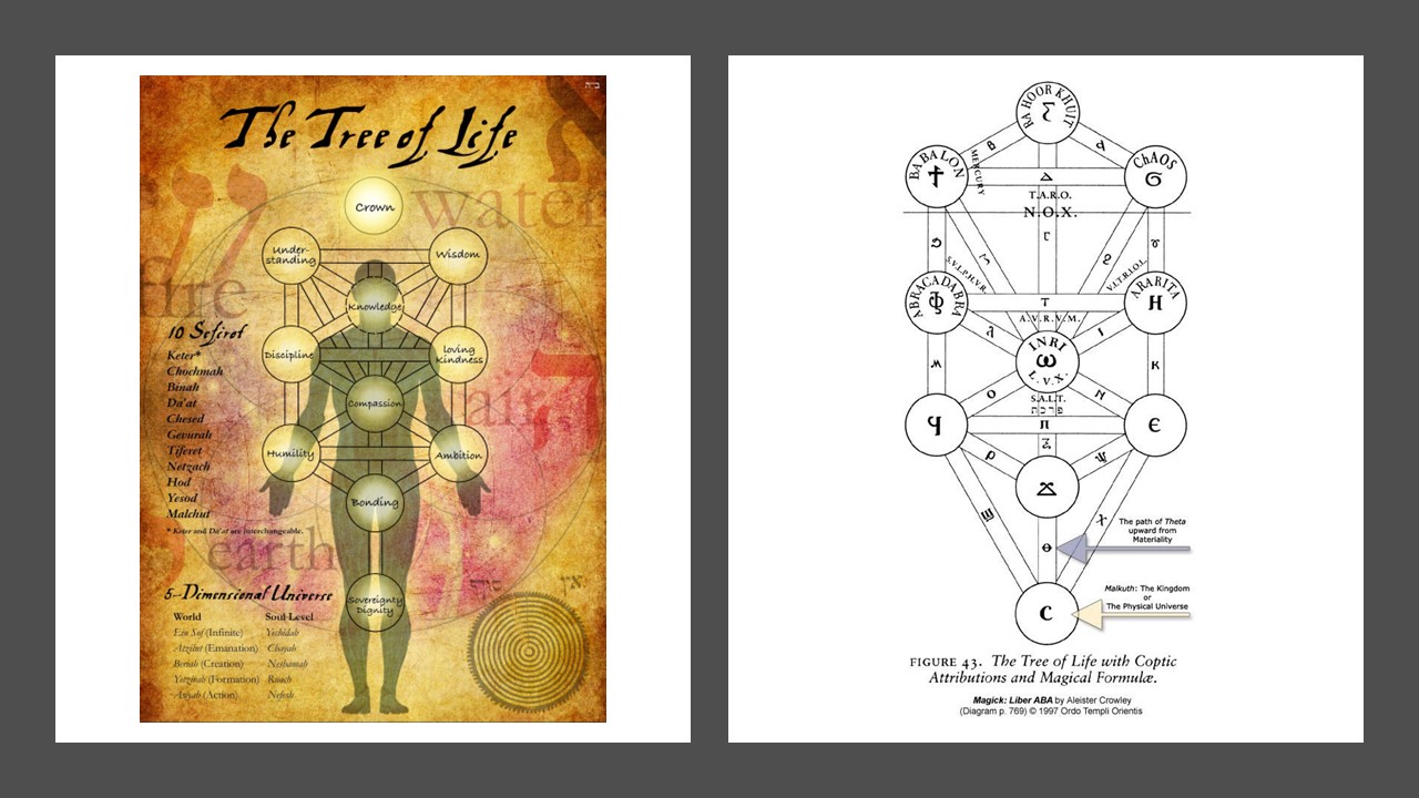 tree-of-life-two-versions – Revealing What Has Been Hidden in Front of ...