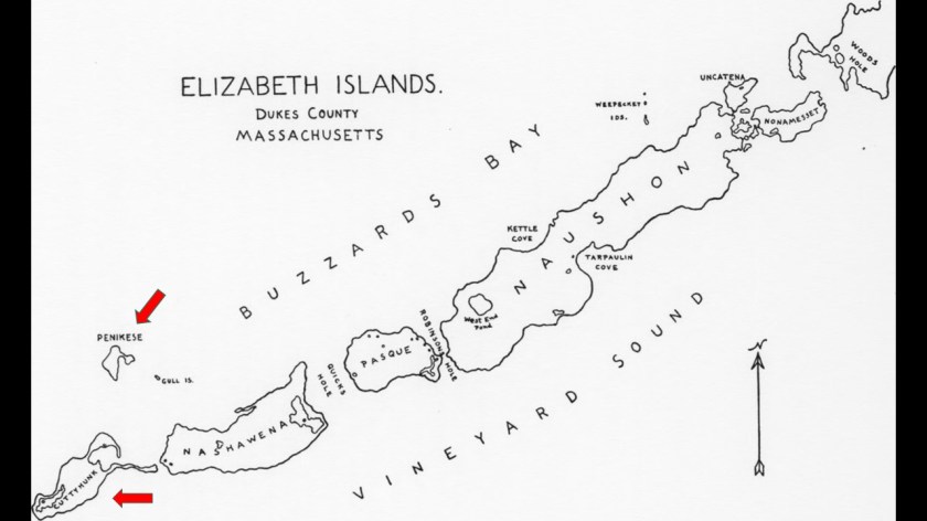 Plan(t)ing the New World – Revealing What Has Been Hidden in Front of ...