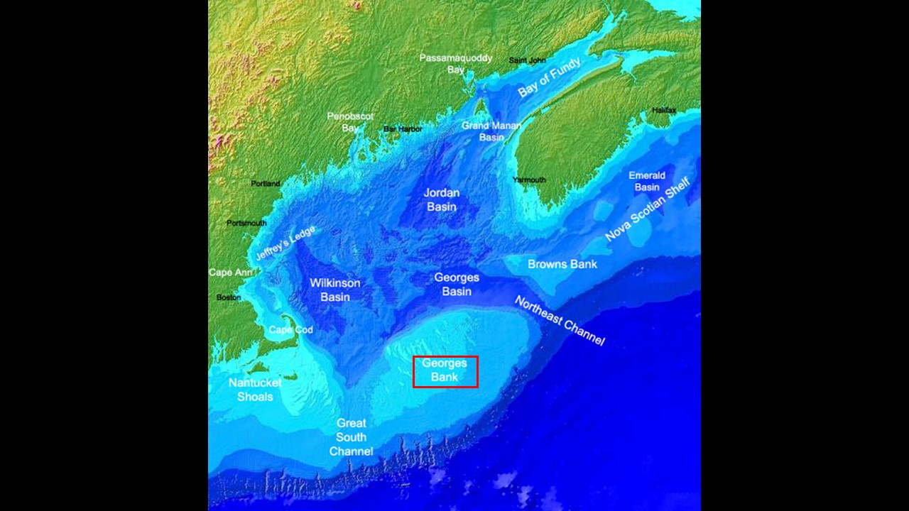 Revealing What Has Been Hidden in Front of Our Eyes – And Unlocking ...